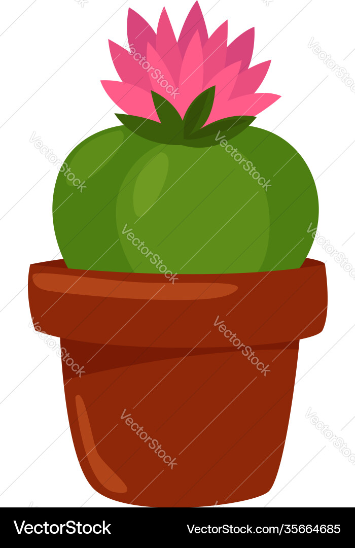 Cactus with a pink flower on white background Vector Image