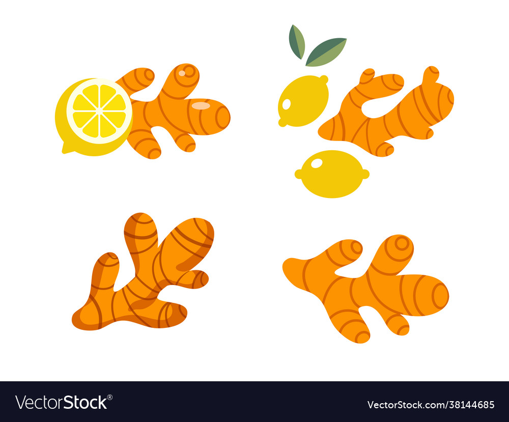 Ginger root flat set Royalty Free Vector Image