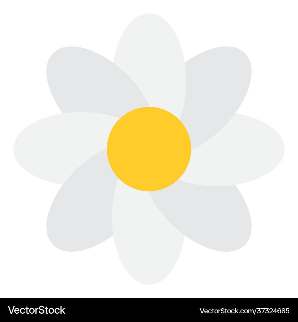 Simple flower blossoming and blooming white Vector Image