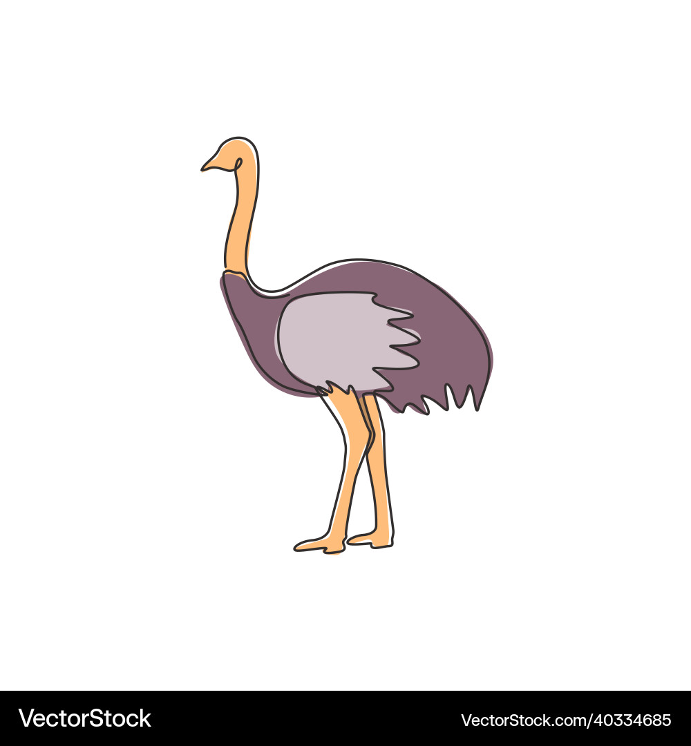 Single continuous line drawing of large ostrich Vector Image