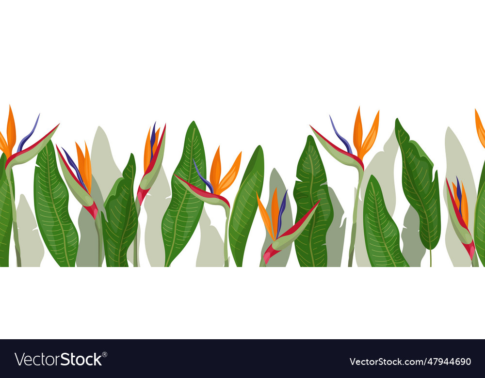 Seamless horizontal pattern strelitzia Royalty Free Vector