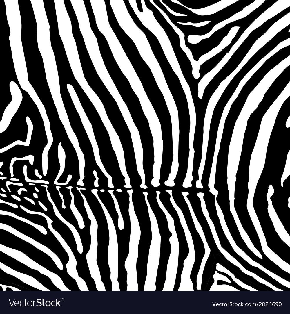 Zebra background Royalty Free Vector Image - VectorStock