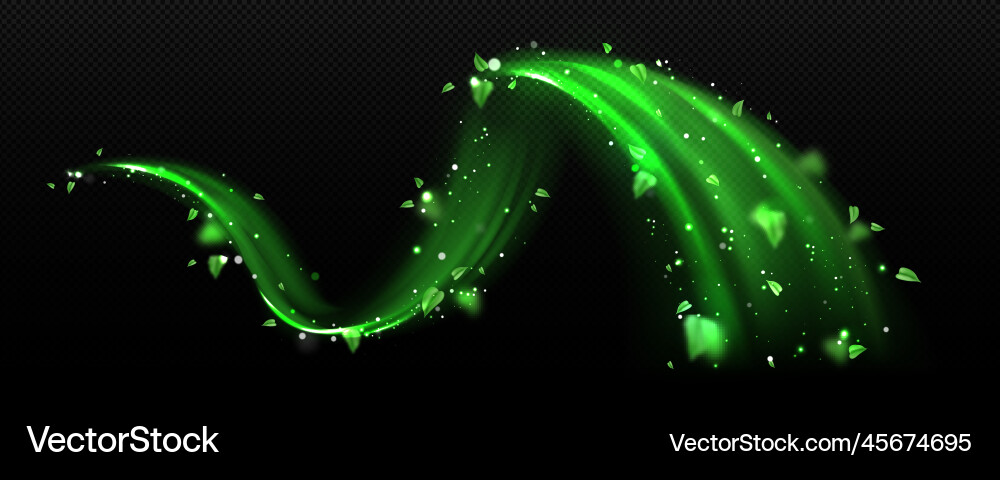 Freshness effect green air flow with mint leaves Vector Image