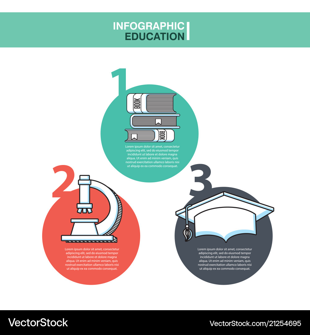 Infographic education presentation icons Vector Image