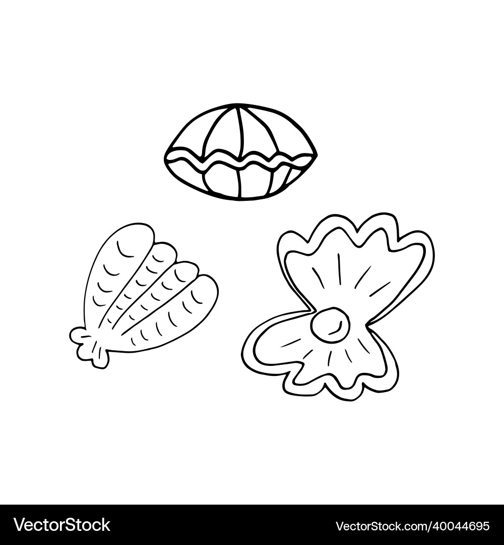 Oyster With Pearl Drawing Illustration Of Oyster Pearl Our Beautiful