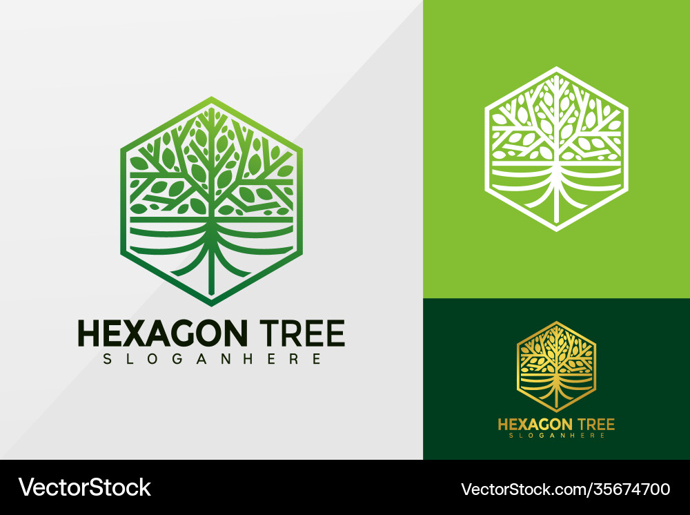Hexagon tree leaf business logo brand identity Vector Image