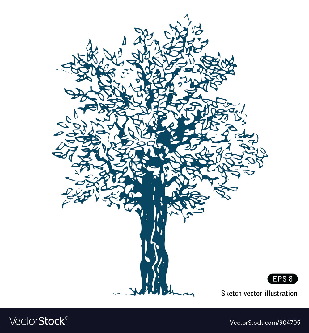 Tree isolated Royalty Free Vector Image - VectorStock