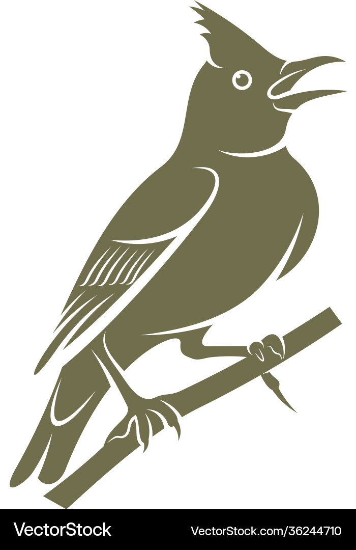 Lark bird logo design icon symbol template Vector Image