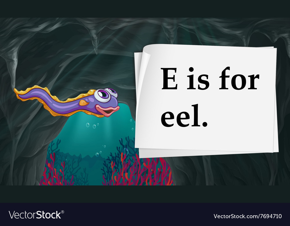 Letter e is for eel Royalty Free Vector Image - VectorStock