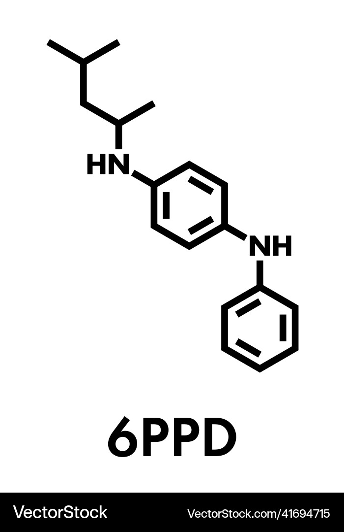 6ppd rubber additive molecule toxic to salmon Vector Image