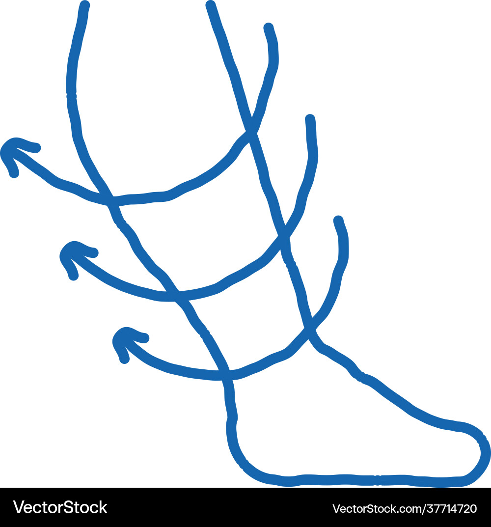Healthy leg doodle icon hand drawn Royalty Free Vector Image
