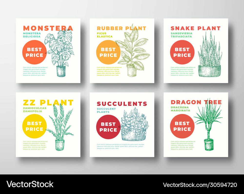Houseplants signs or label templates Royalty Free Vector