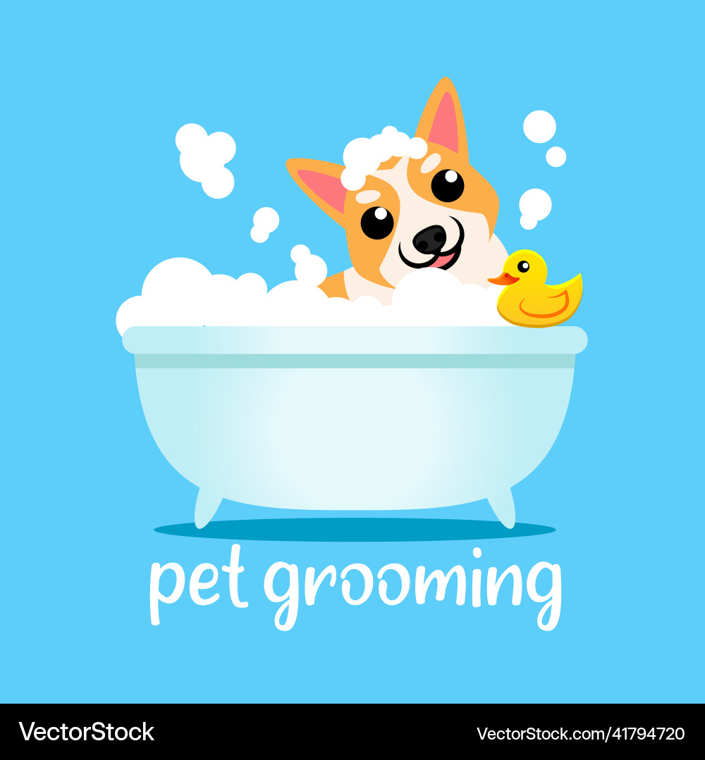 Pet grooming cartoon Royalty Free Vector Image