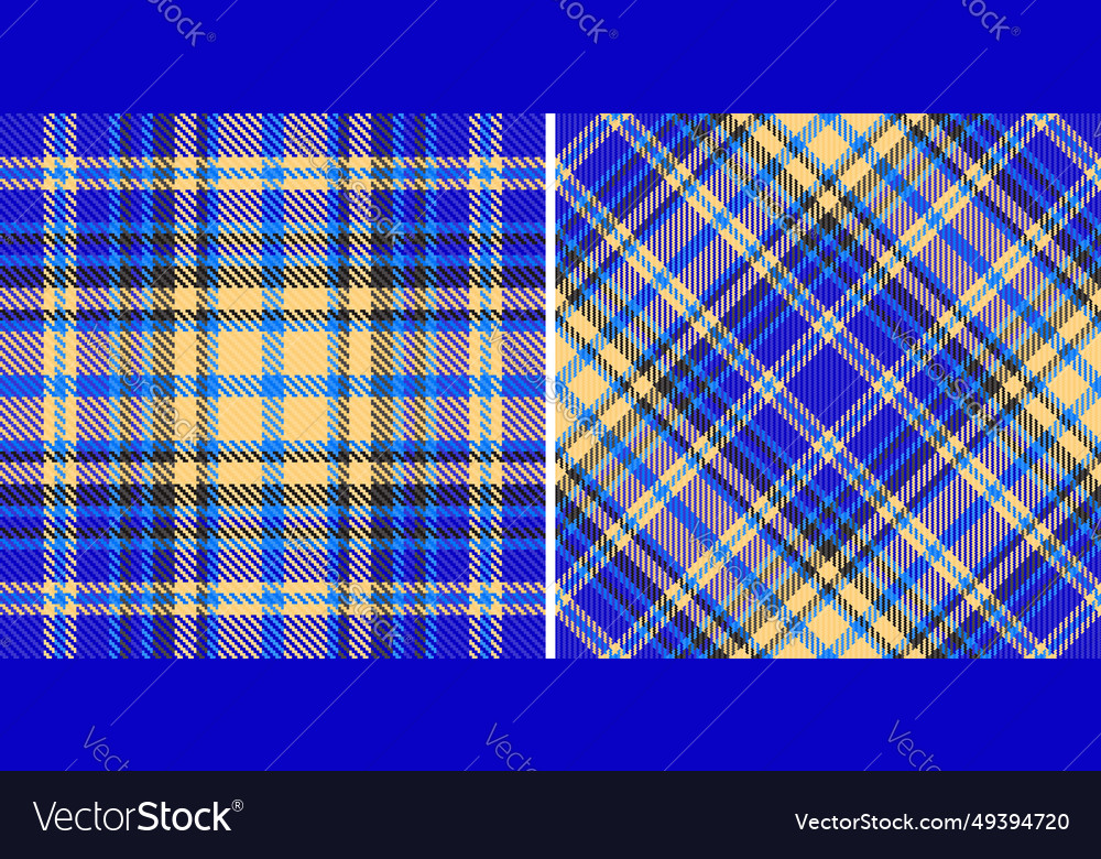 Seamless plaid background of check pattern Vector Image