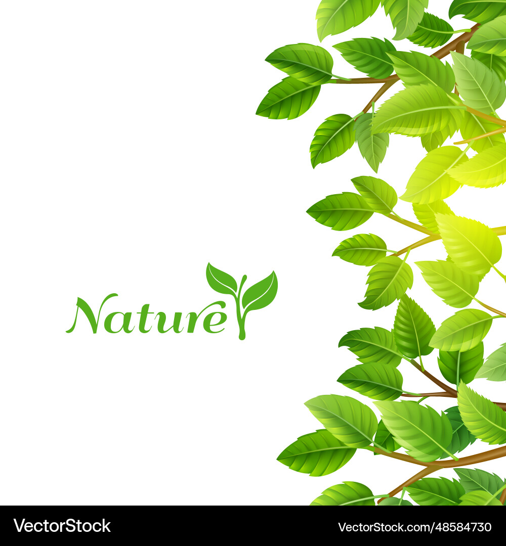 Green leaves nature background print Royalty Free Vector