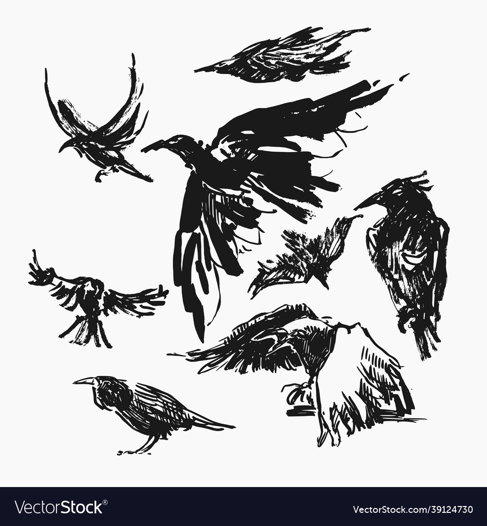 Raven Royalty Free Vector Image - VectorStock
