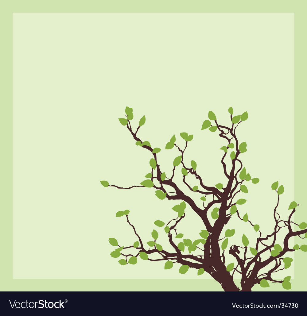 Spring tree corner Royalty Free Vector Image - VectorStock