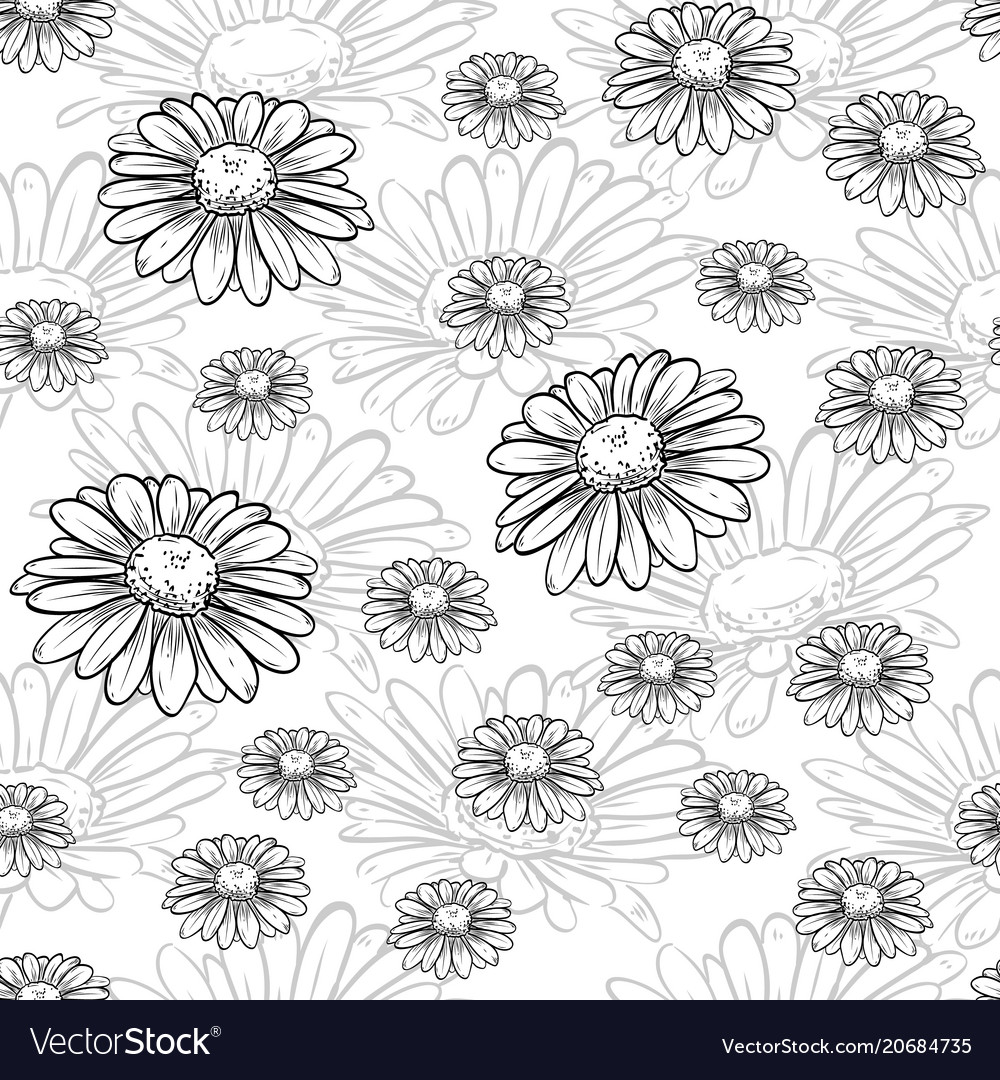 Chamomile seamless pattern Royalty Free Vector Image