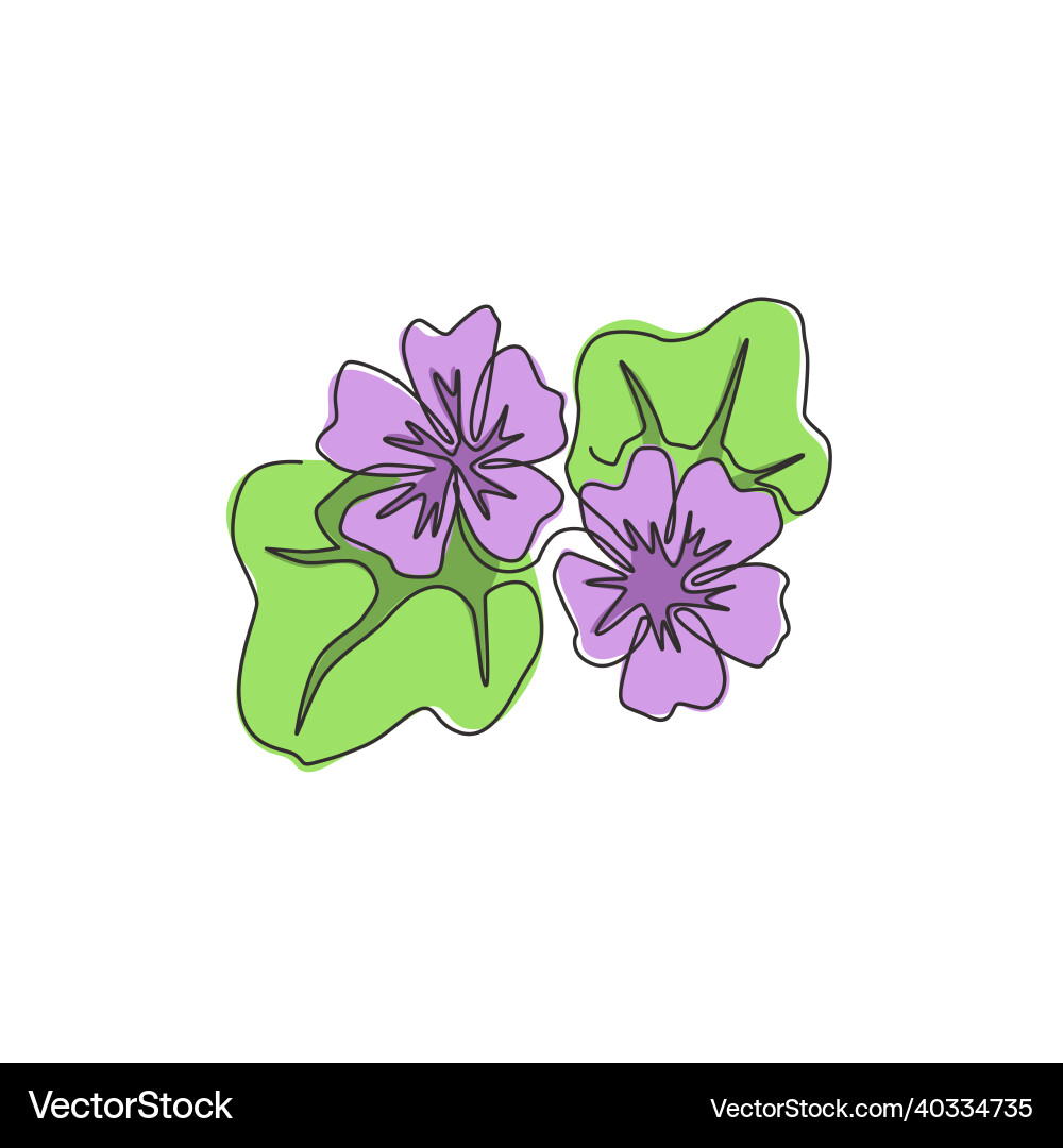 One continuous line drawing beauty fresh purple Vector Image