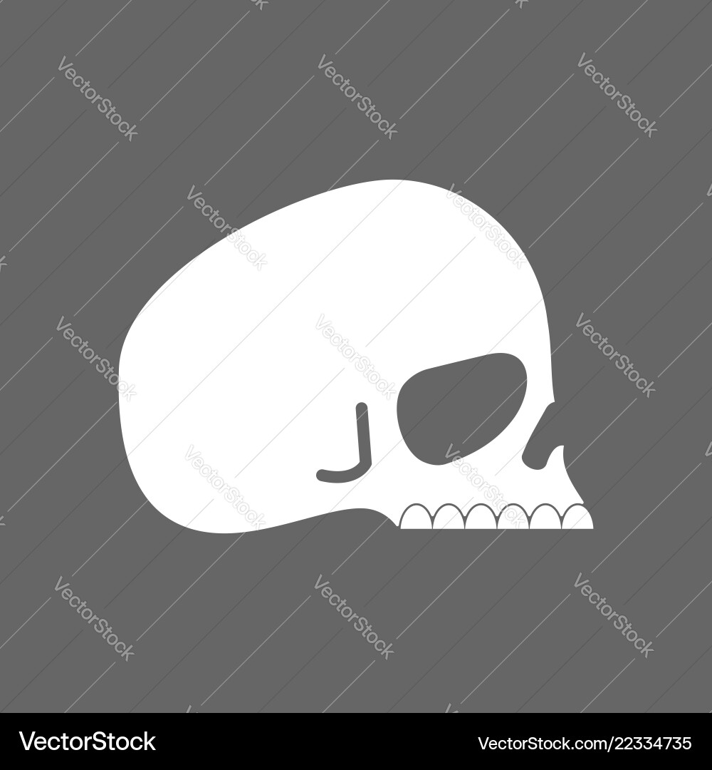 Skull profile isolated head of skeleton Royalty Free Vector