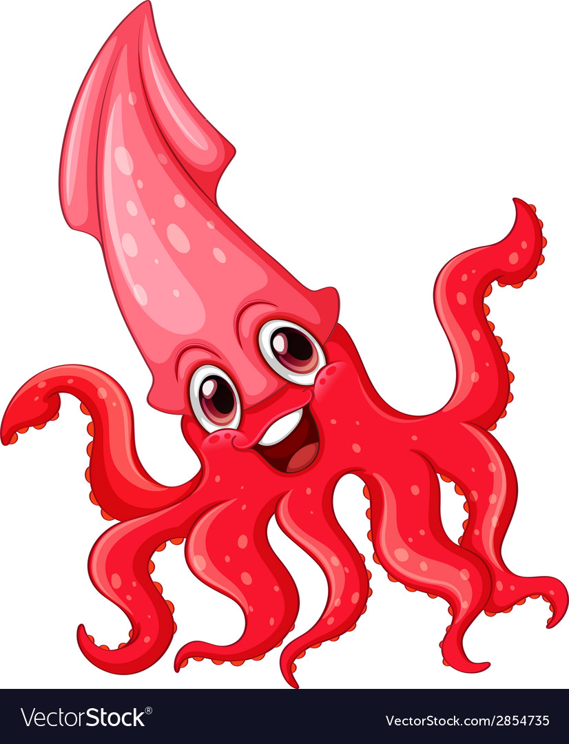 Squid Royalty Free Vector Image - VectorStock