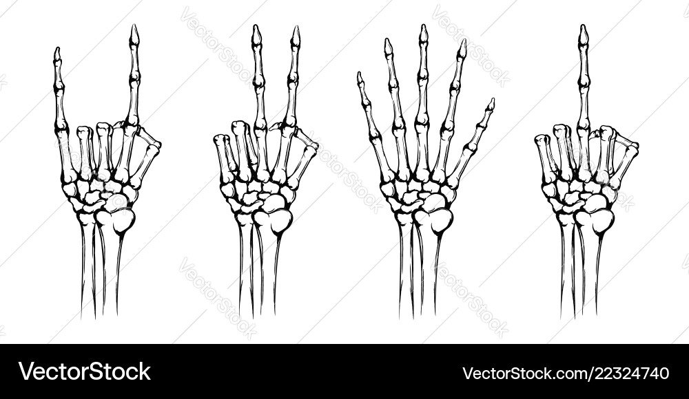 Hands of the skeleton with different gestures Vector Image
