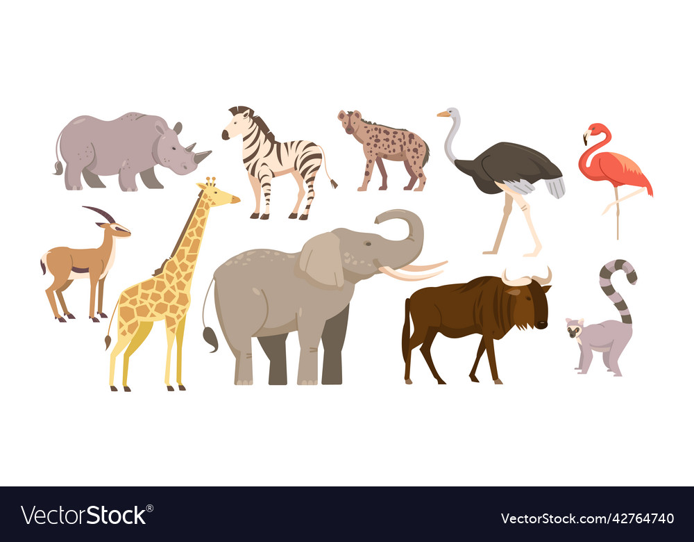 Set of african animals and birds fauna africa Vector Image
