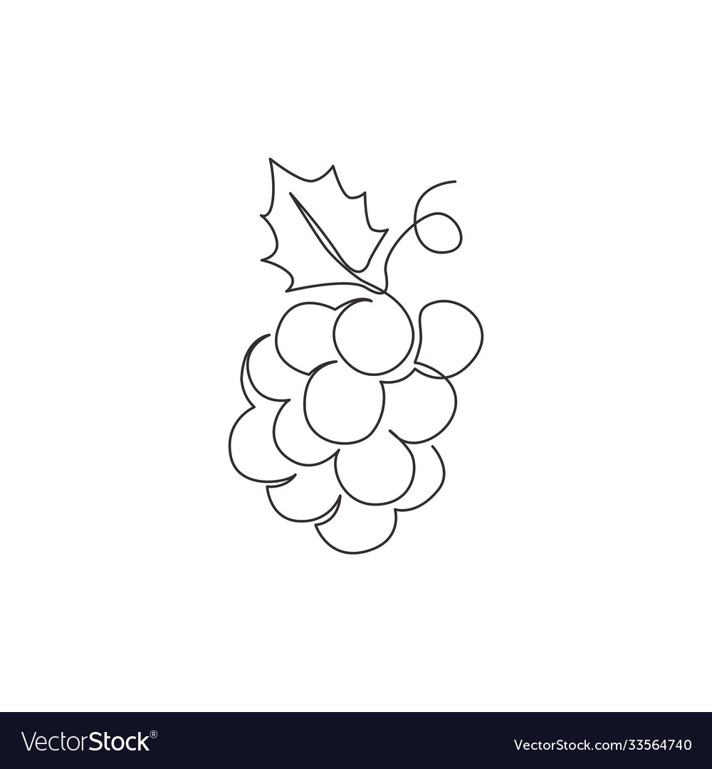 Single Continuous Line Drawing Healthy Organic Vector Image