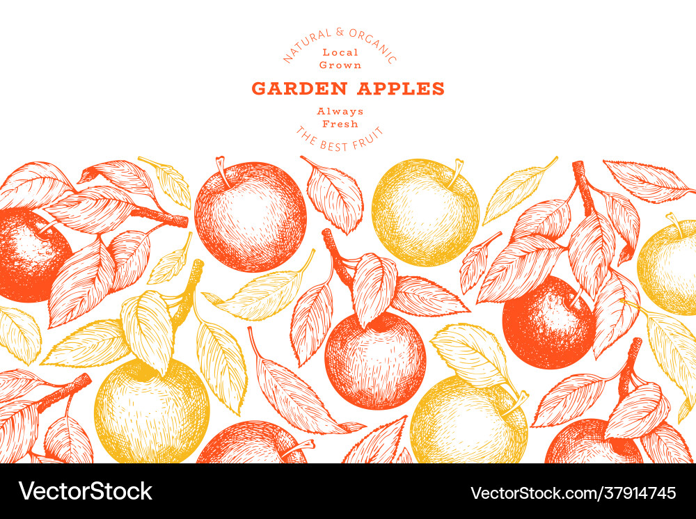 Apple branch design template hand drawn garden Vector Image