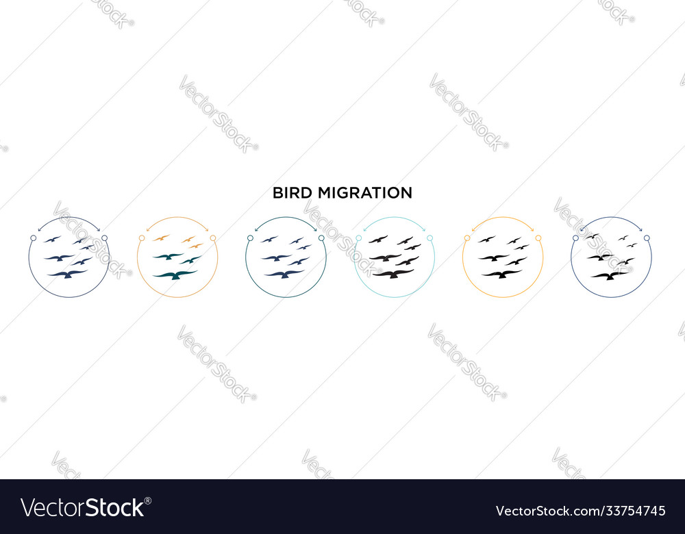 Bird migration icon in filled thin line outline Vector Image