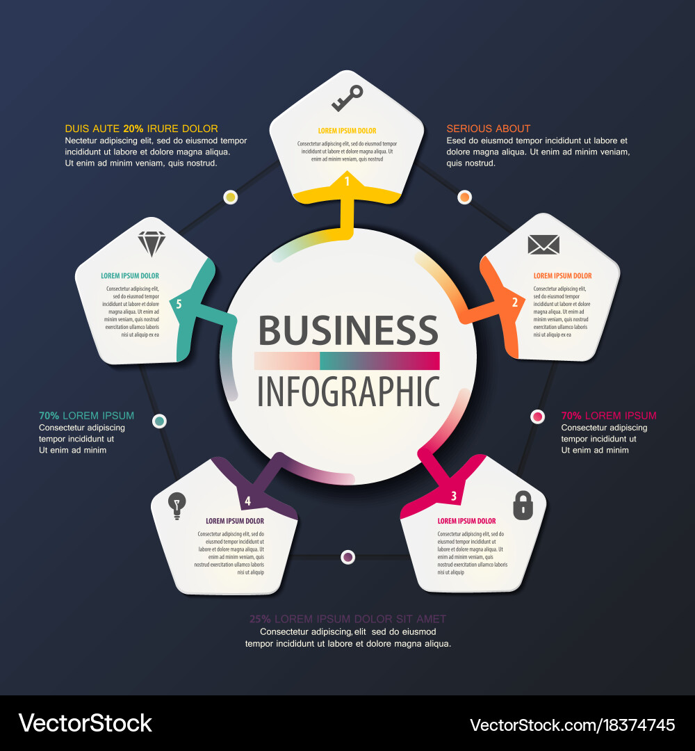 Business infographic work and information scheme Vector Image