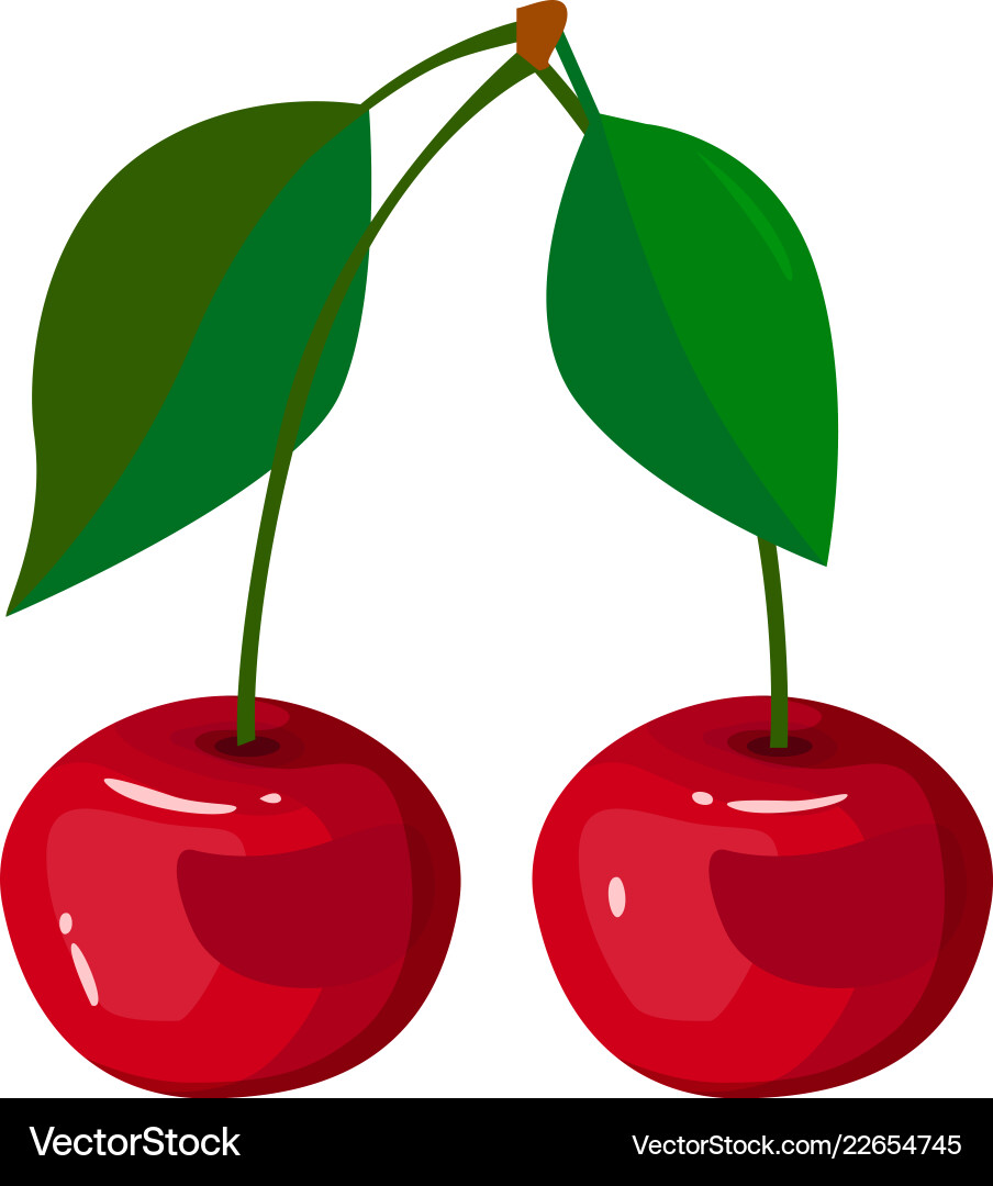 Cartoon fresh cherry isolated on white background Vector Image