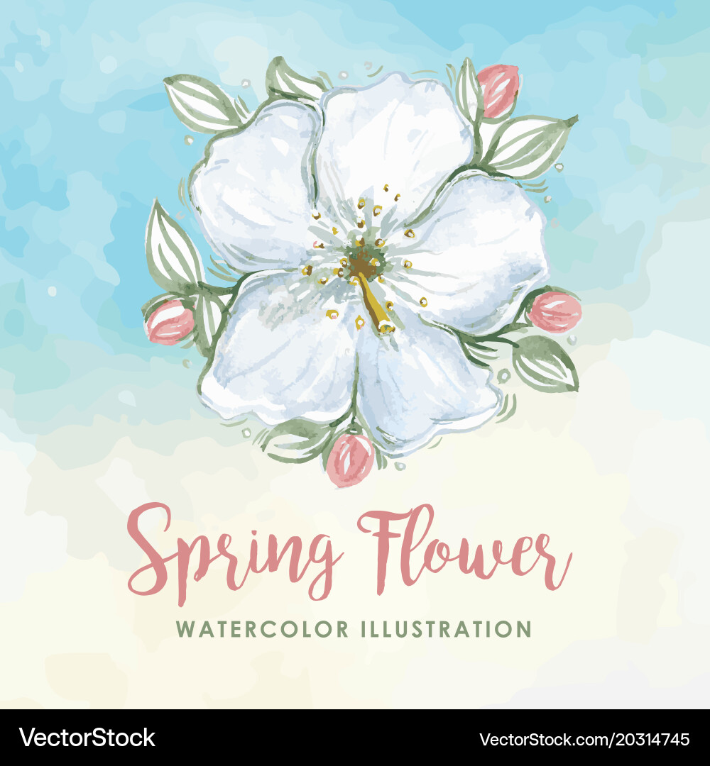 Floral border watercolor Royalty Free Vector Image