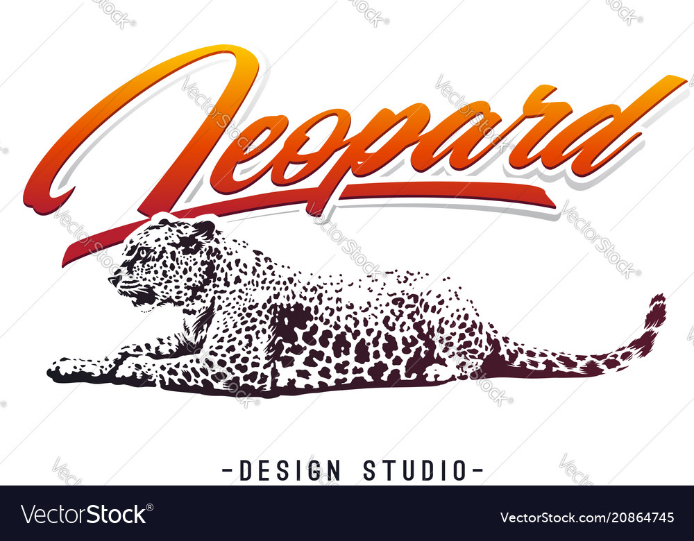 Leopard design Royalty Free Vector Image - VectorStock