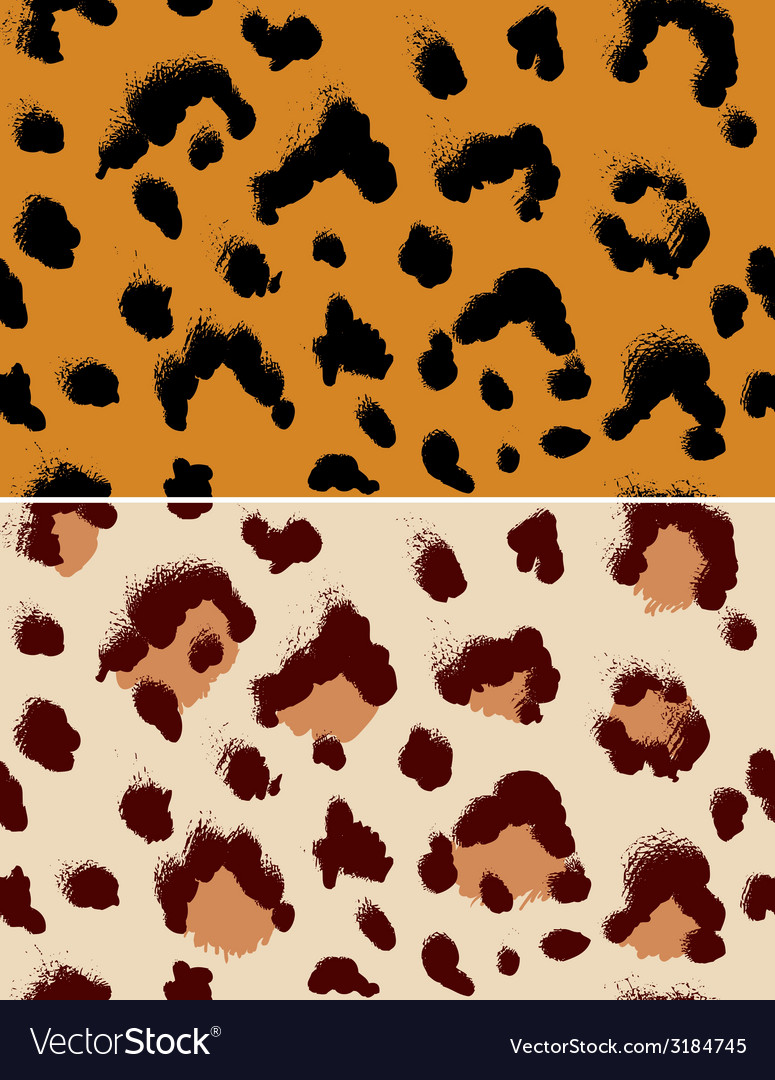 Leopard pattern Royalty Free Vector Image - VectorStock