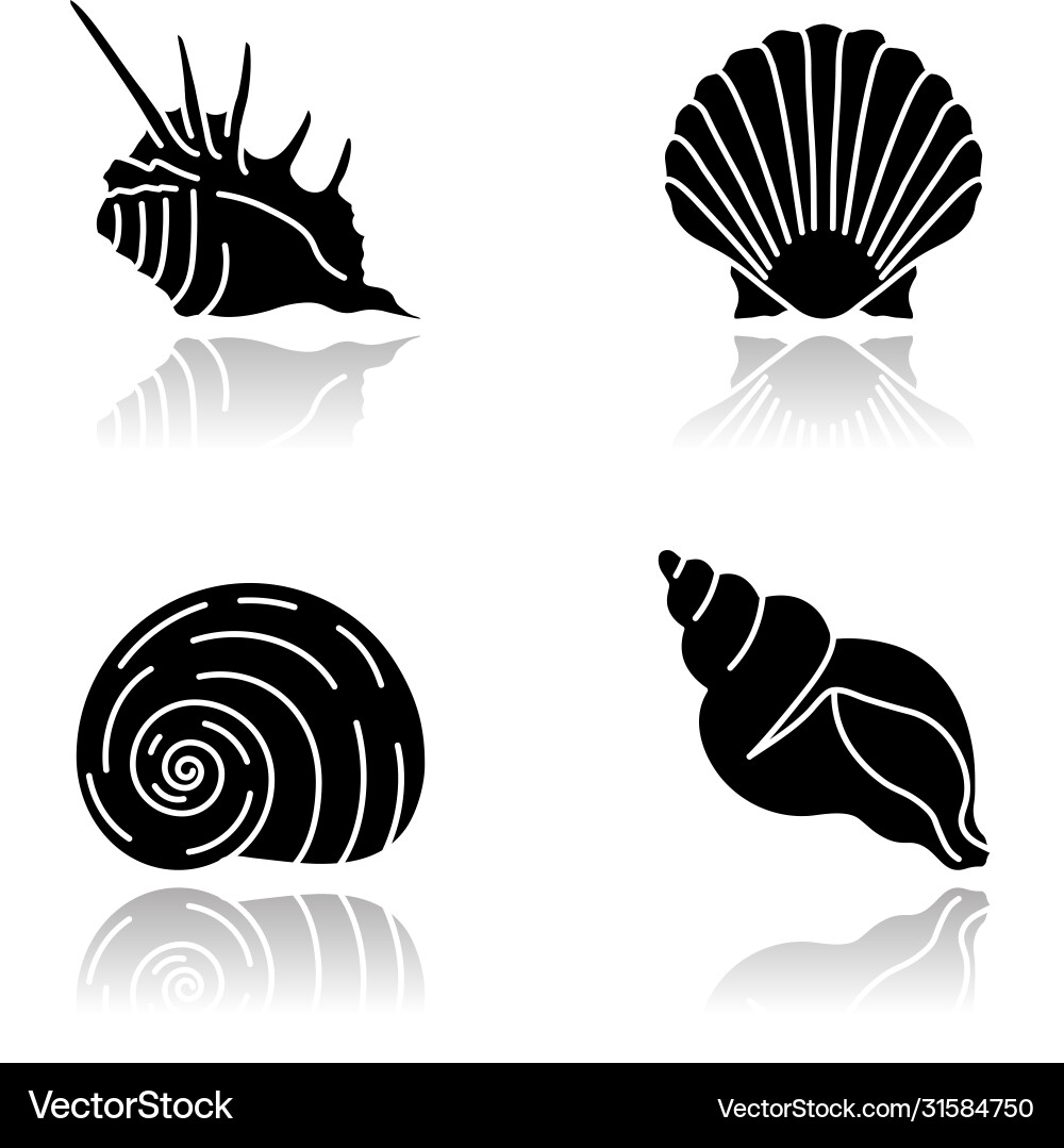 Exotic sea shells drop shadow black glyph icons Vector Image