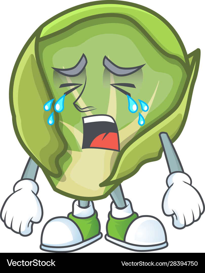 Sad crying gesture brussels sprouts cartoon Vector Image