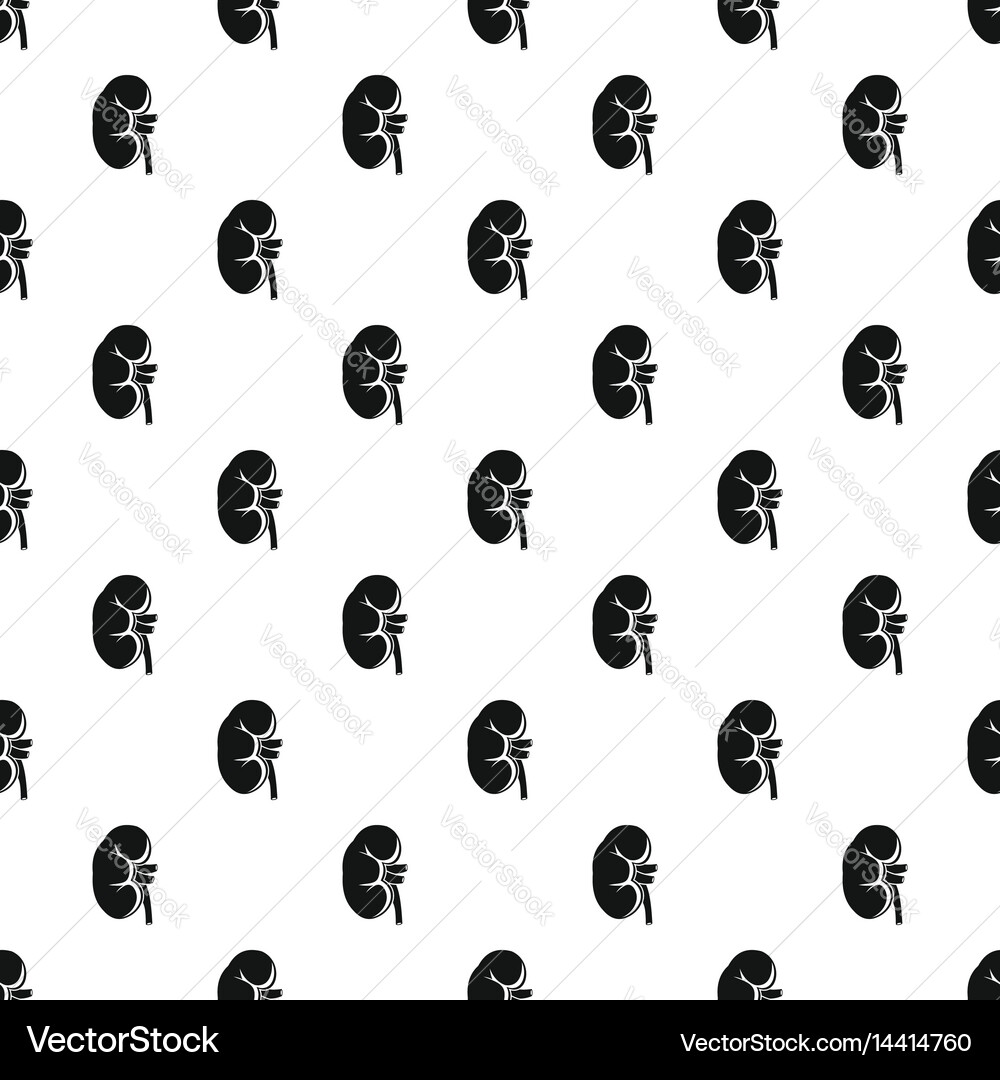 Kidney pattern Royalty Free Vector Image - VectorStock