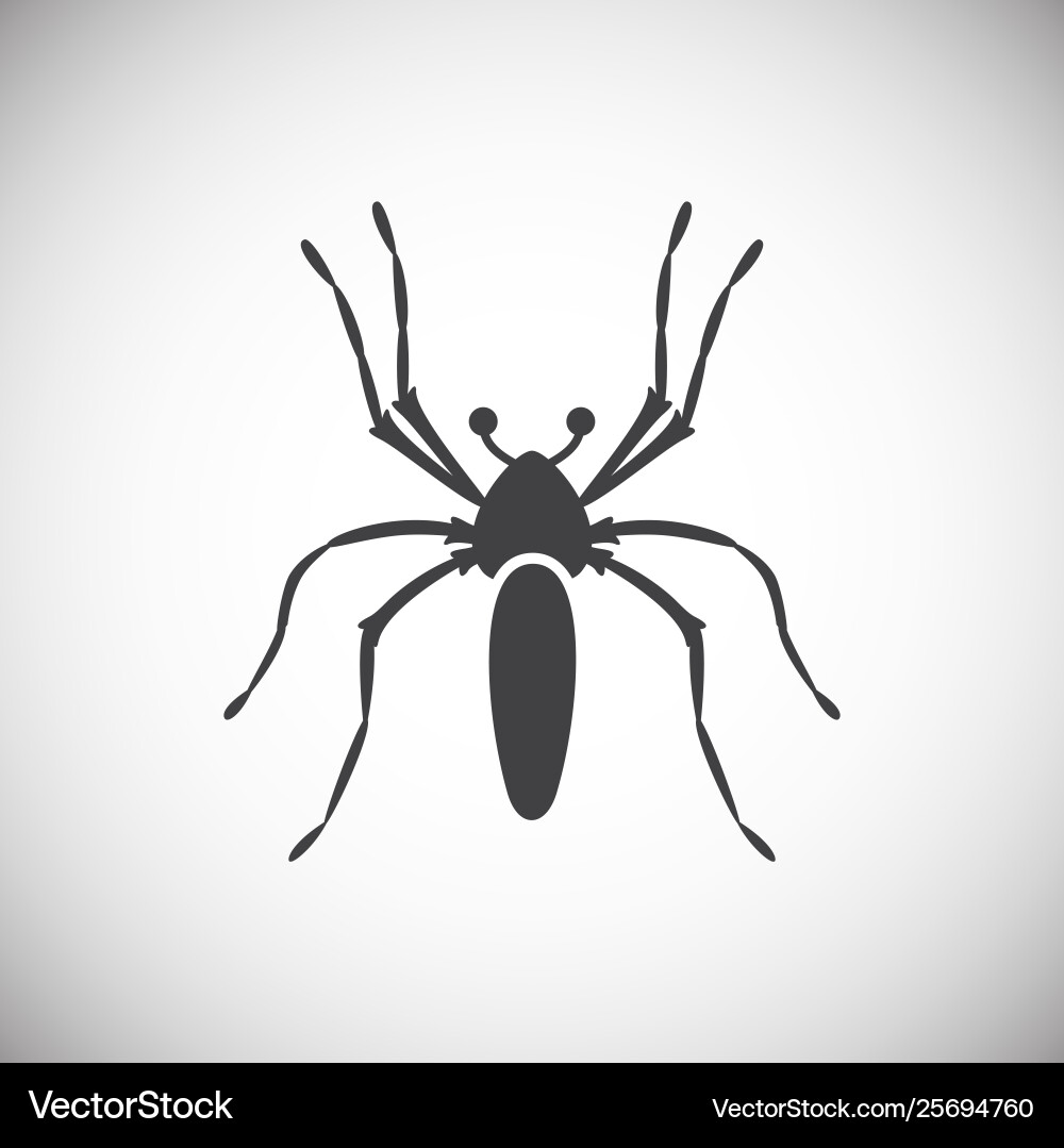 Spider related icon on background for graphic Vector Image