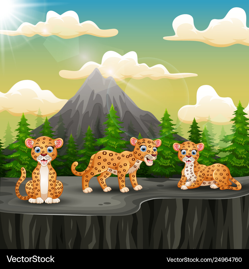 Three leopard cartoon enjoying on mountain a c Vector Image