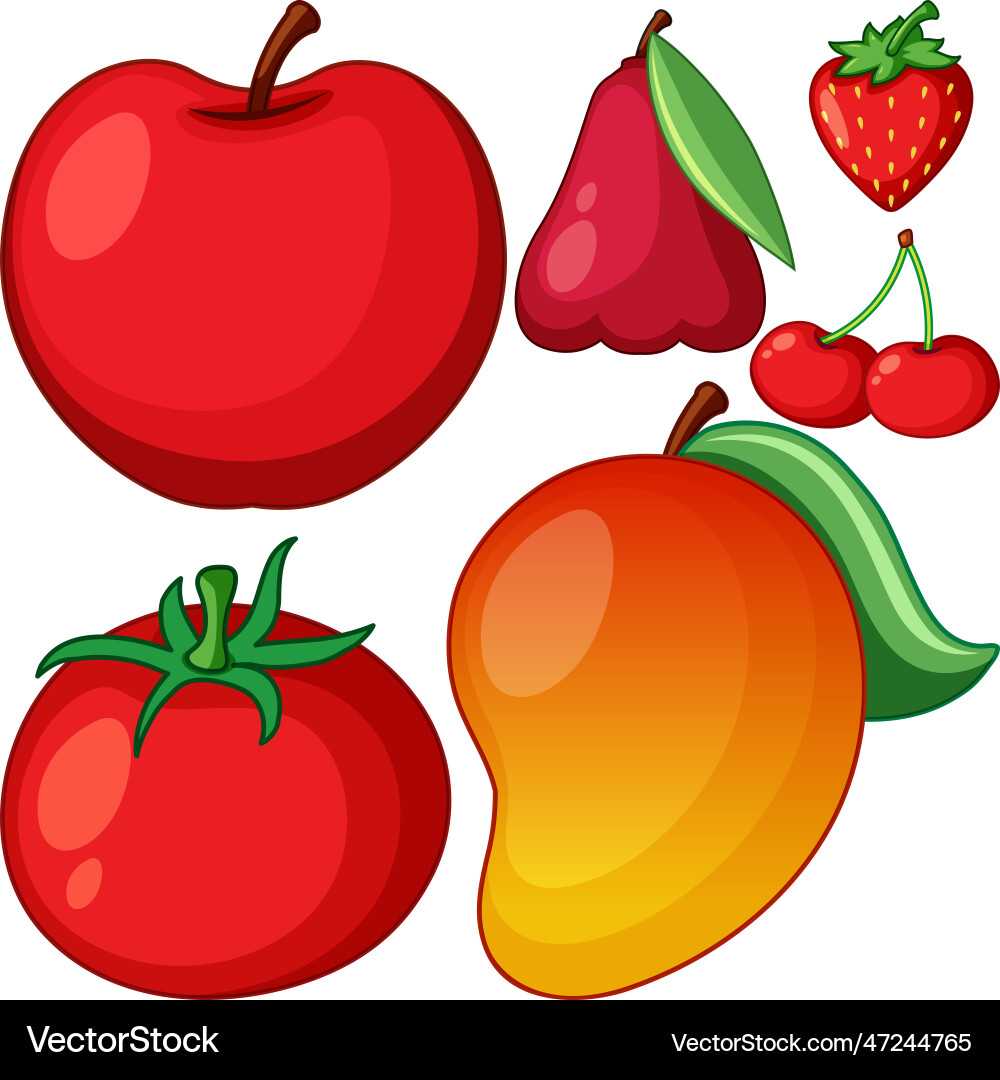 A collection of different fruits Royalty Free Vector Image