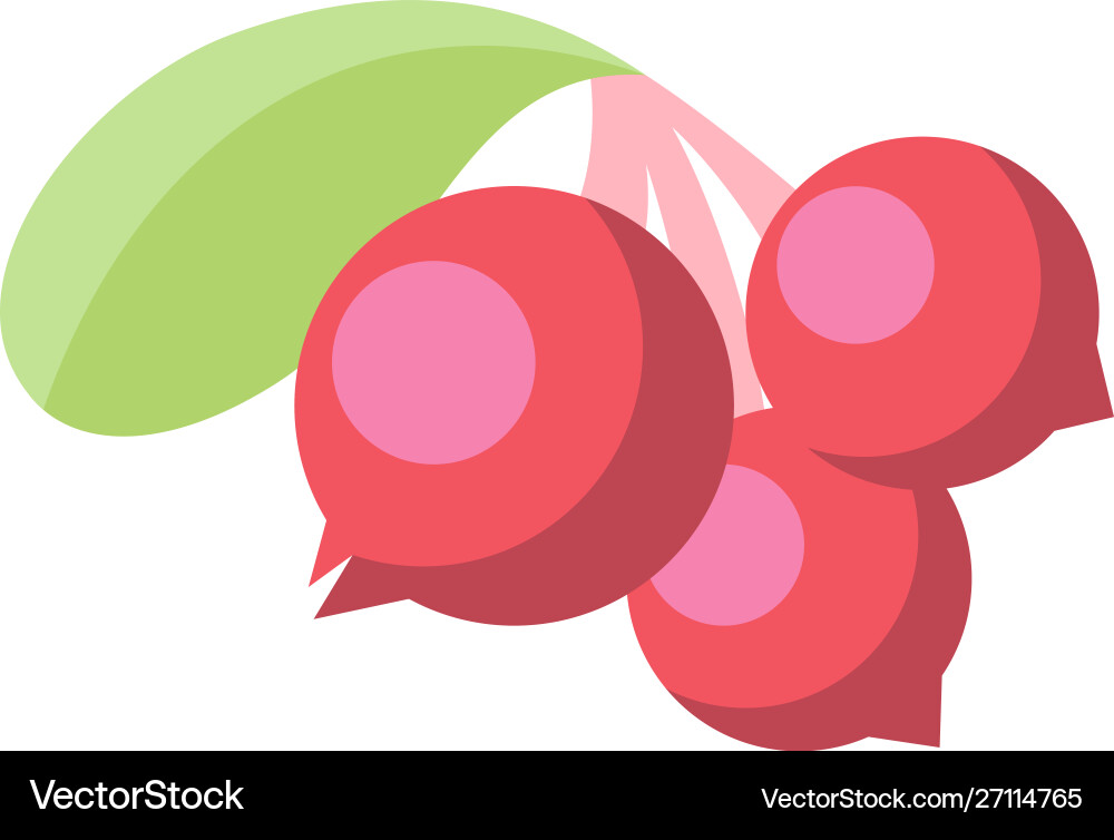 Cranberry icon minimal style berry Royalty Free Vector Image