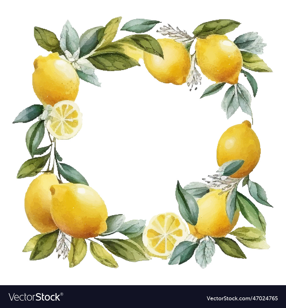 Hand-drawn watercolor painting lemon frame Vector Image