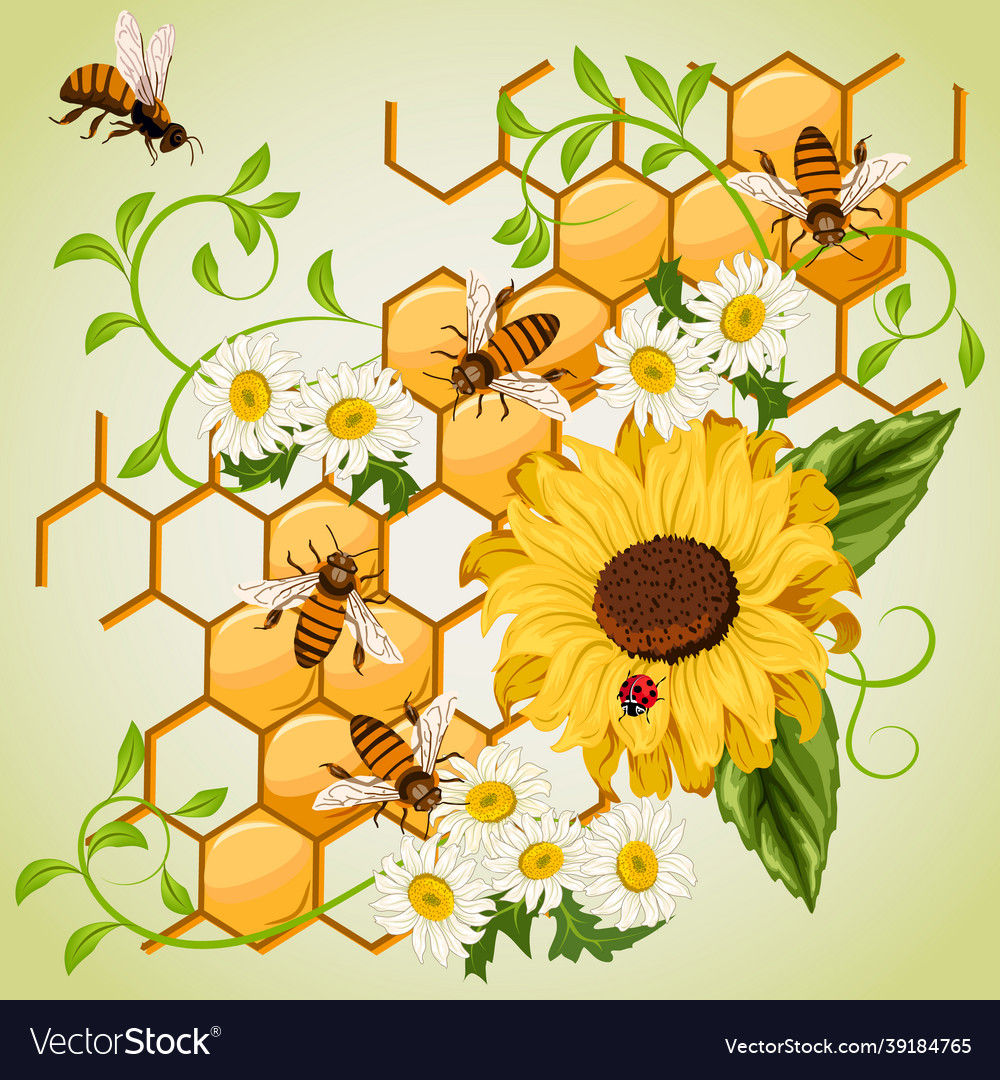 Honeycomb with bees and flowers Royalty Free Vector Image