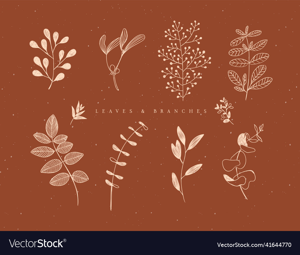 Graphic Leaves And Branches Brown Color Royalty Free Vector