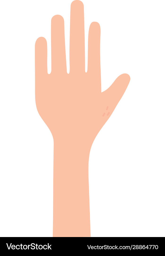 Hand showing five fingers on white background Vector Image