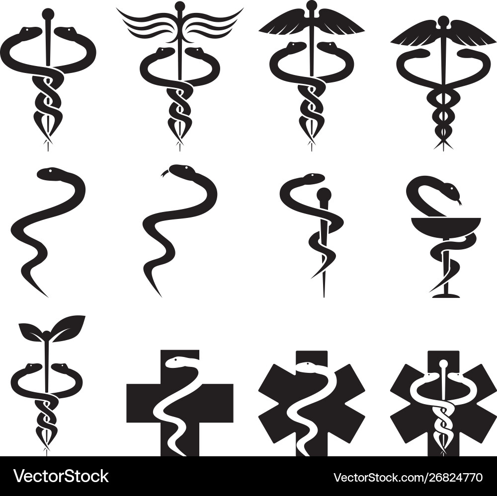Medical snake graphic design template isolated Vector Image