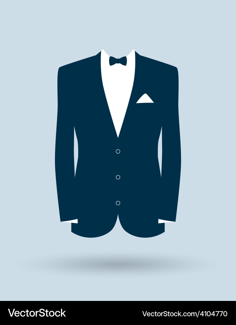 Suit Royalty Free Vector Image - VectorStock
