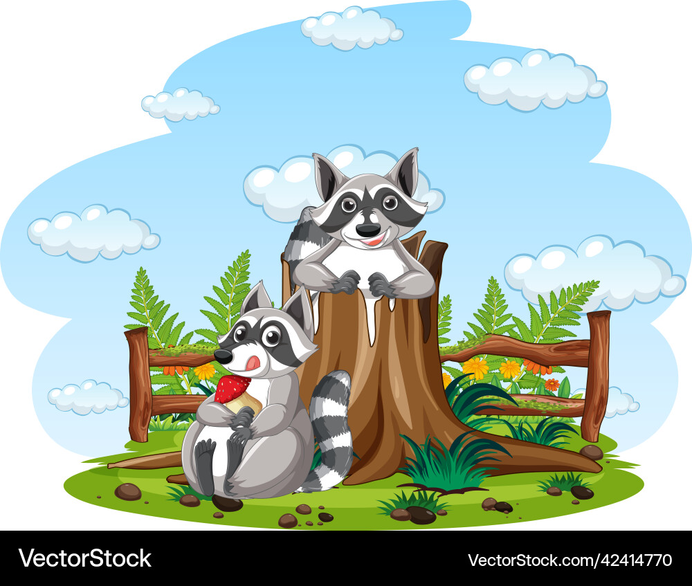 Two raccoons in the park Royalty Free Vector Image