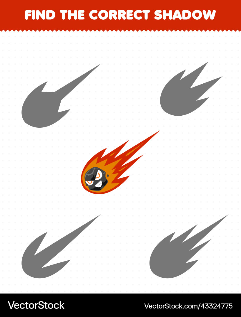 Education game for children find the correct Vector Image